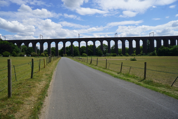 Digswell Park Conservation